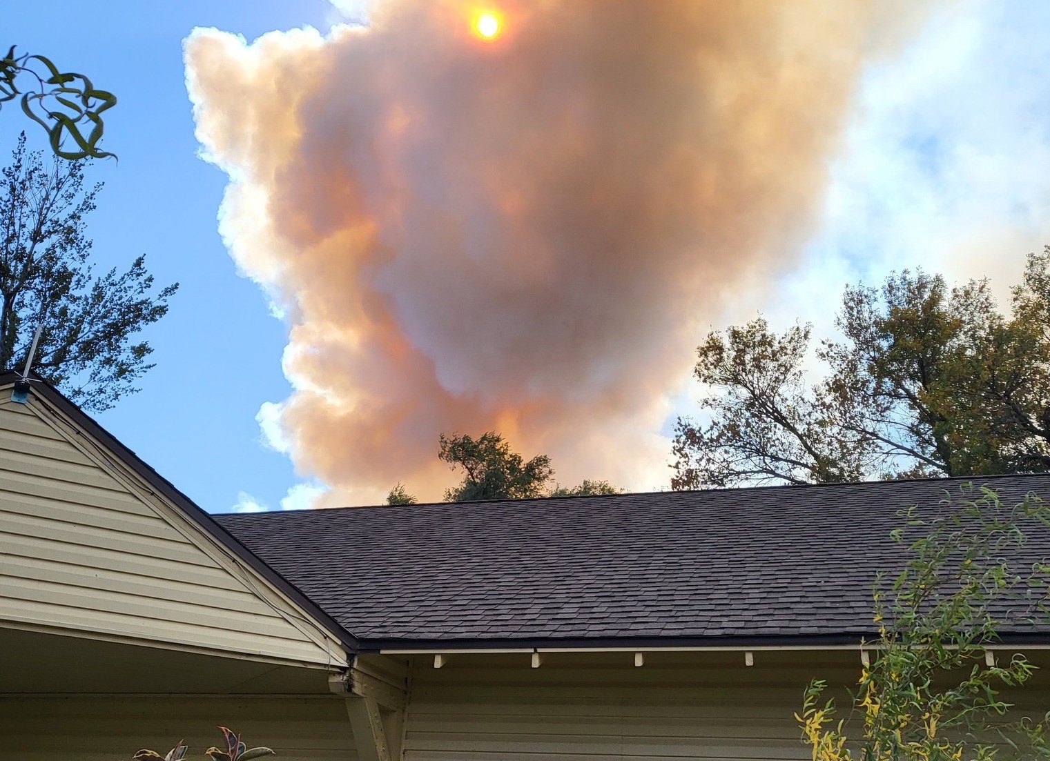 Officials: 15,000 acres burned by Bovee Fire - PANHANDLE - NEWS CHANNEL ...