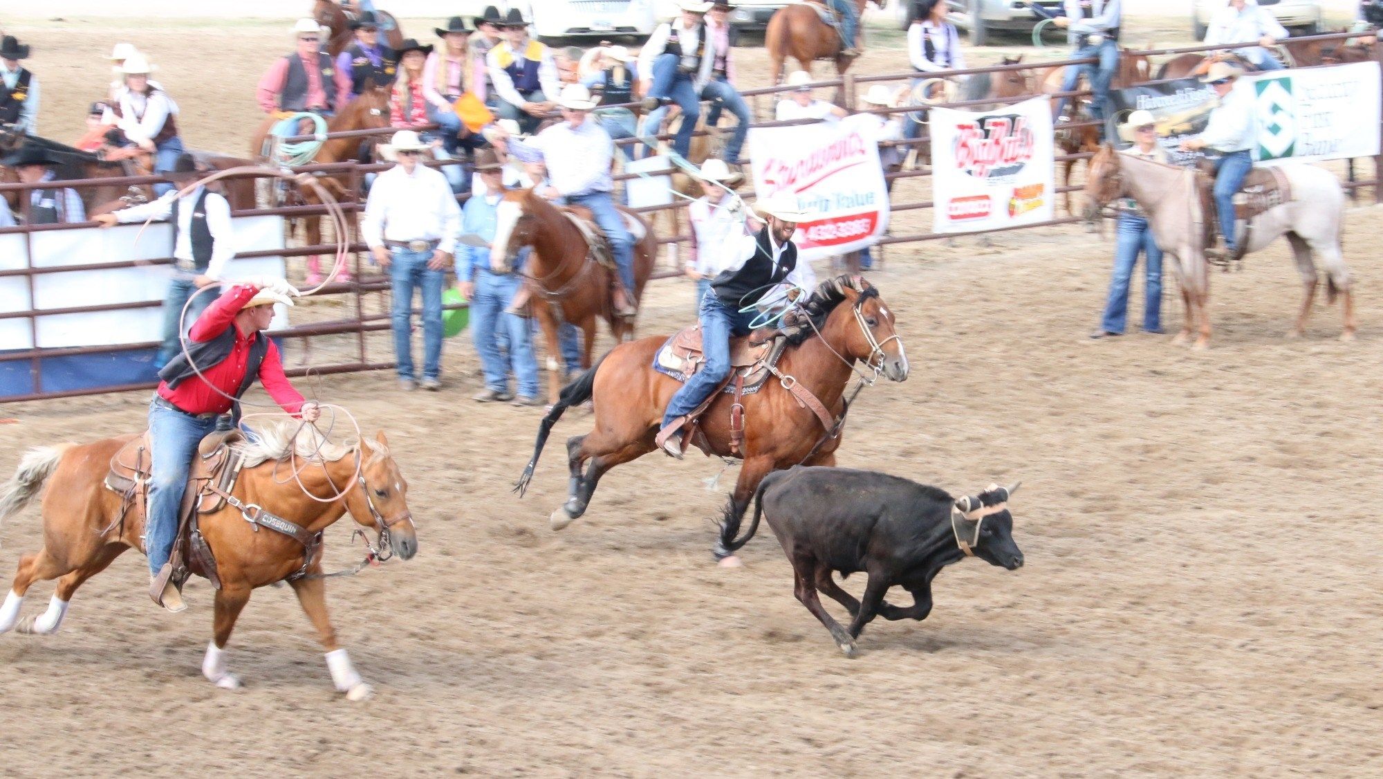 Season ends for CSC rodeo team - PANHANDLE - NEWS CHANNEL NEBRASKA