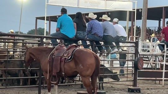 Packed stands entertained by PRCA rodeo in Sidney - PANHANDLE - NEWS ...