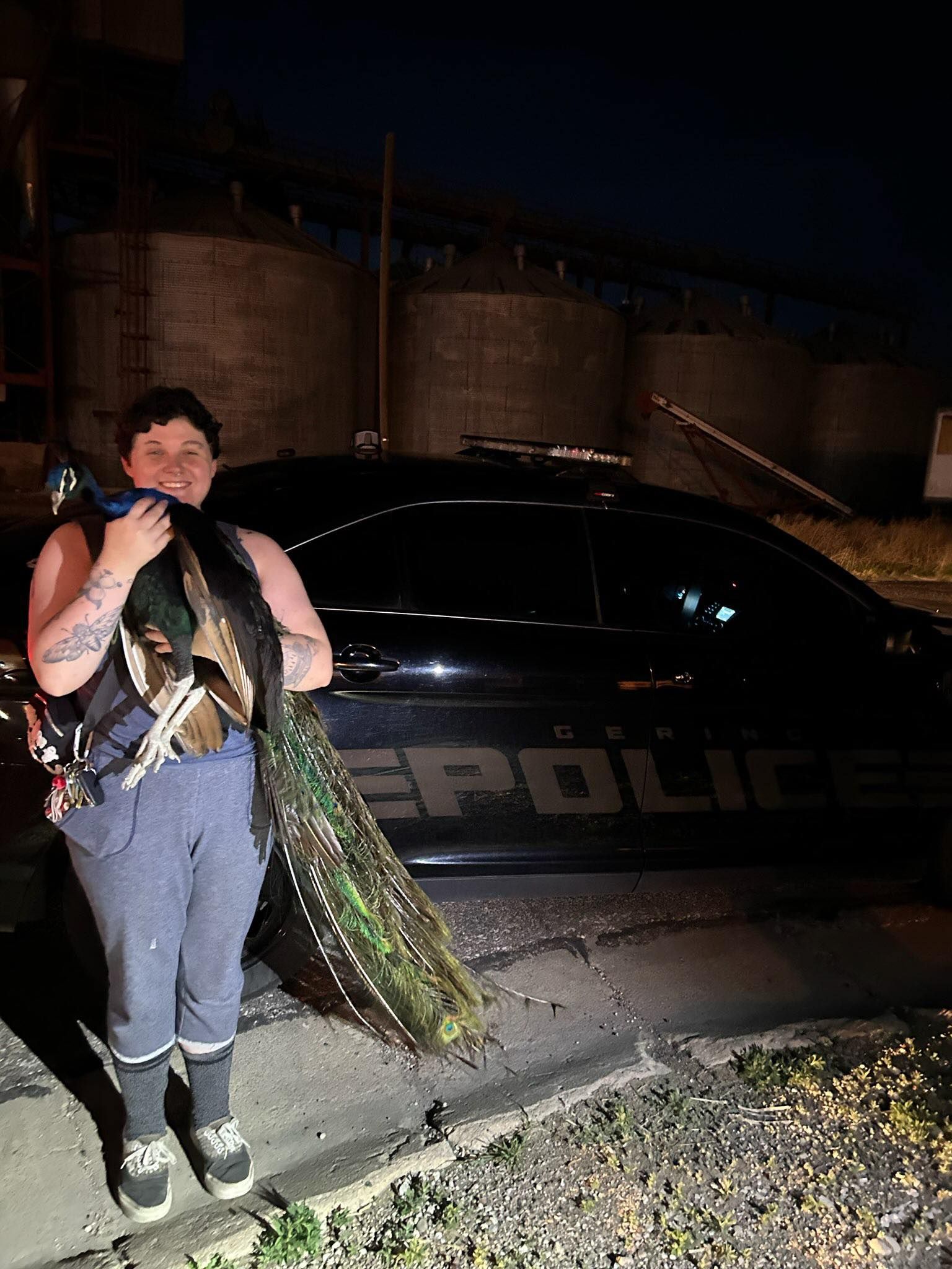 Riverside Discovery Center helps Gering Police wrangle runaway peacock ...