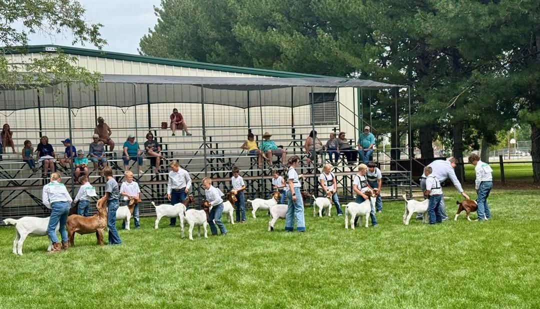 4-H'ers showcase goats in Kimball-Banner County Fair Market Goat Show ...