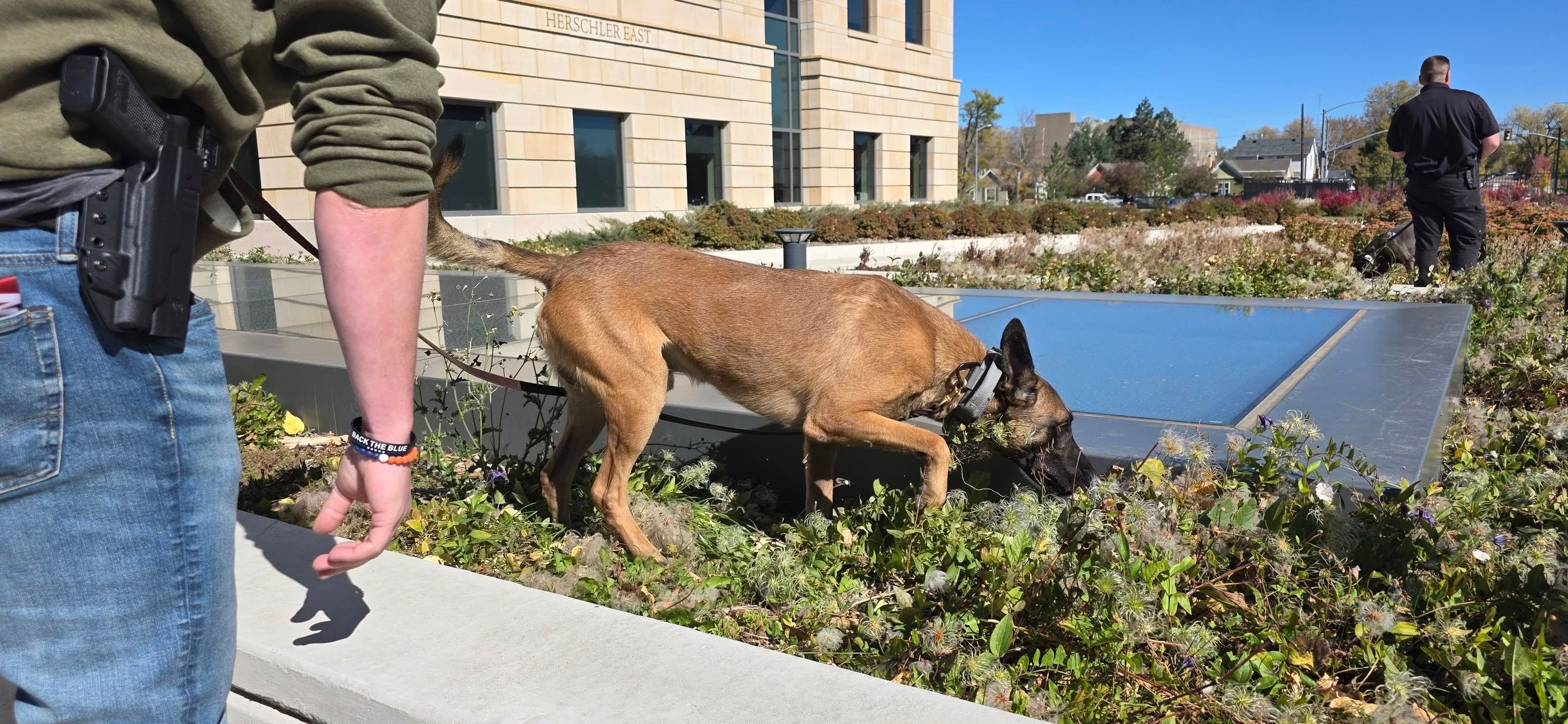 Suspected explosive device found and brought indoors prompts Wyoming ...